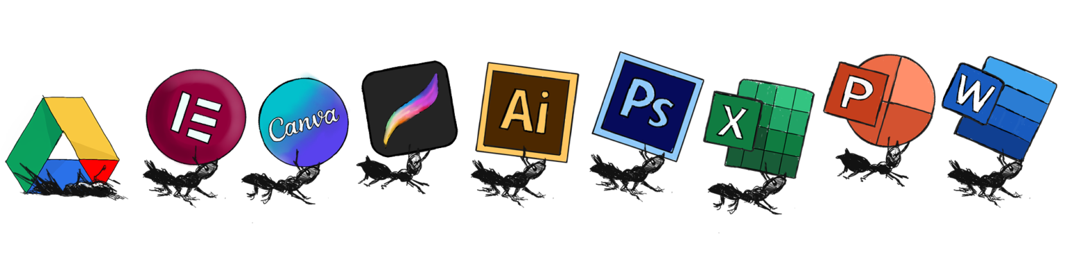 Home - אוהד פרי - קריאייטיב שבא טבעי